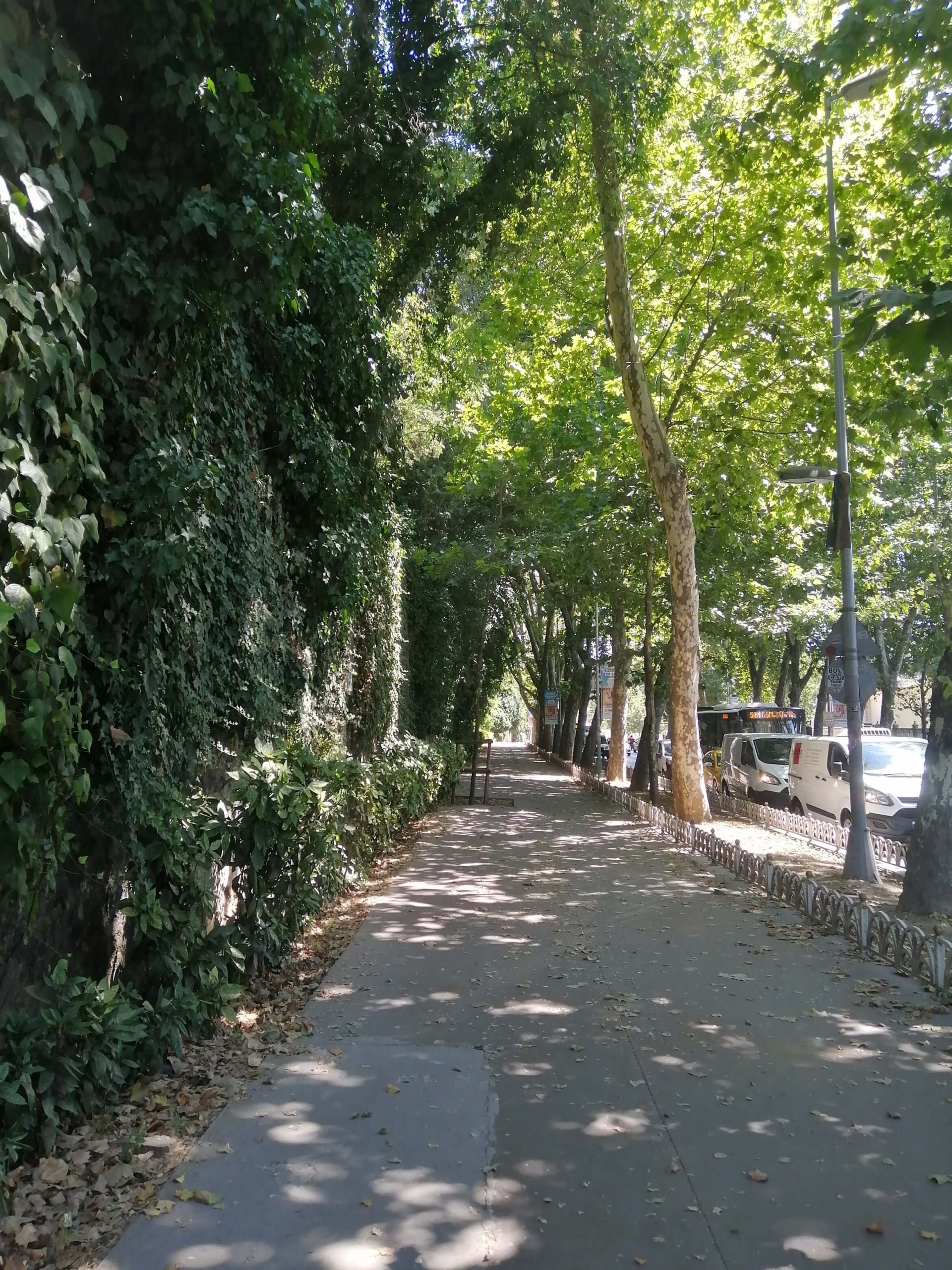 Top 5 Best and Worst Neighborhoods in Istanbul to Move To